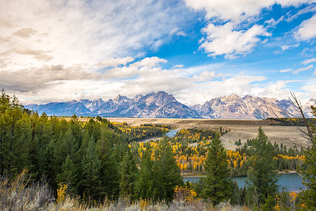 Best places in Grand Teton and Jackson Hole for fall foliage