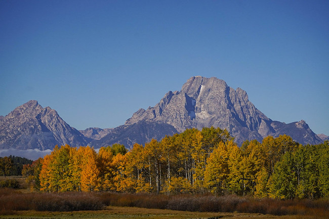 Best places in Grand Teton and Jackson Hole for fall foliage